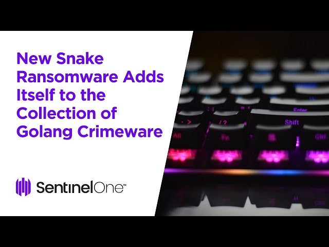 New Snake Ransomware Adds Itself to the Increasing Collection of Golang ...