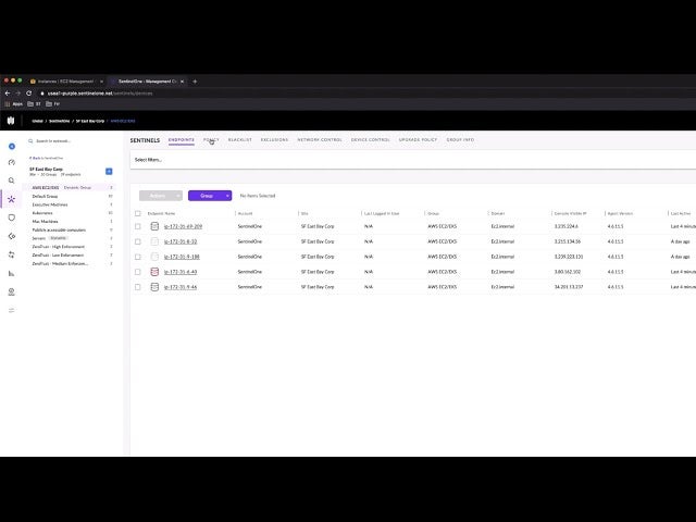 Securing AWS Cloud Workloads | SentinelOne FR